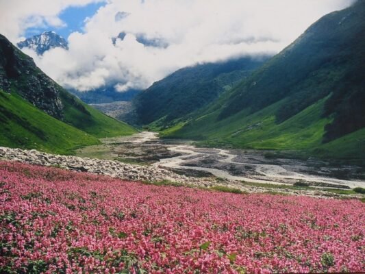 Valley of Flowers Trek - A walk through mother nature