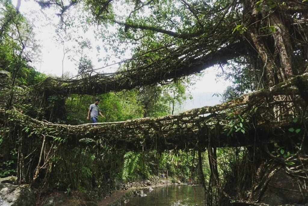 Top 25 Places to Visit in Shillong – HikerWolf