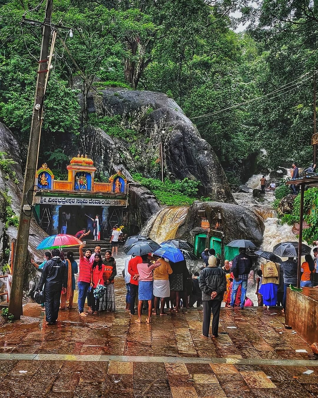 Top Places to Visit in Chikmagalur - HikerWolf
