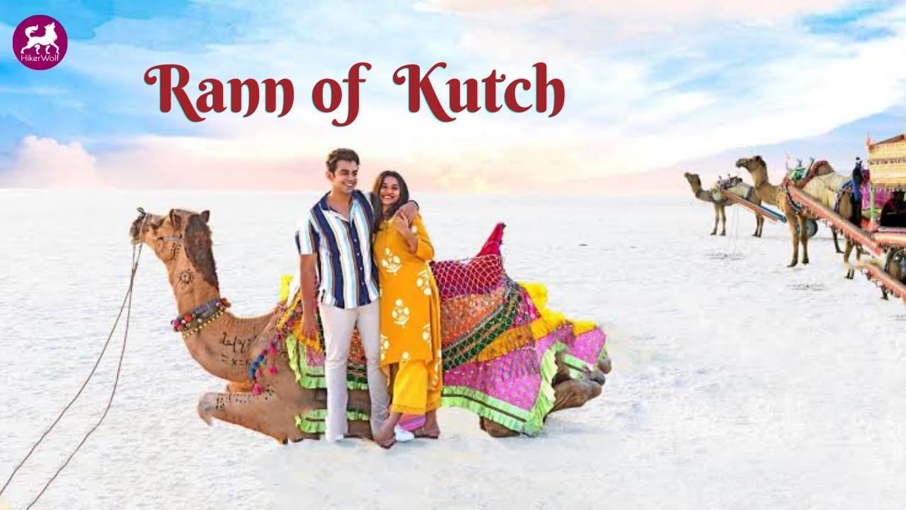 Rann Of Kutch HikerWolf Rann Of Kutch HikerWolf