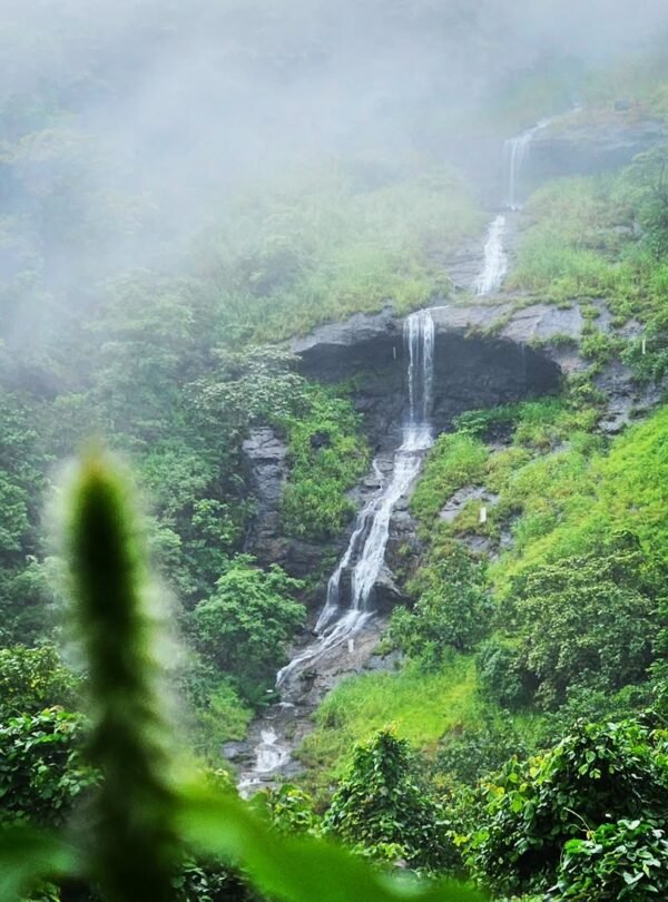 Trek To Prabalgad Fort - HikerWolf